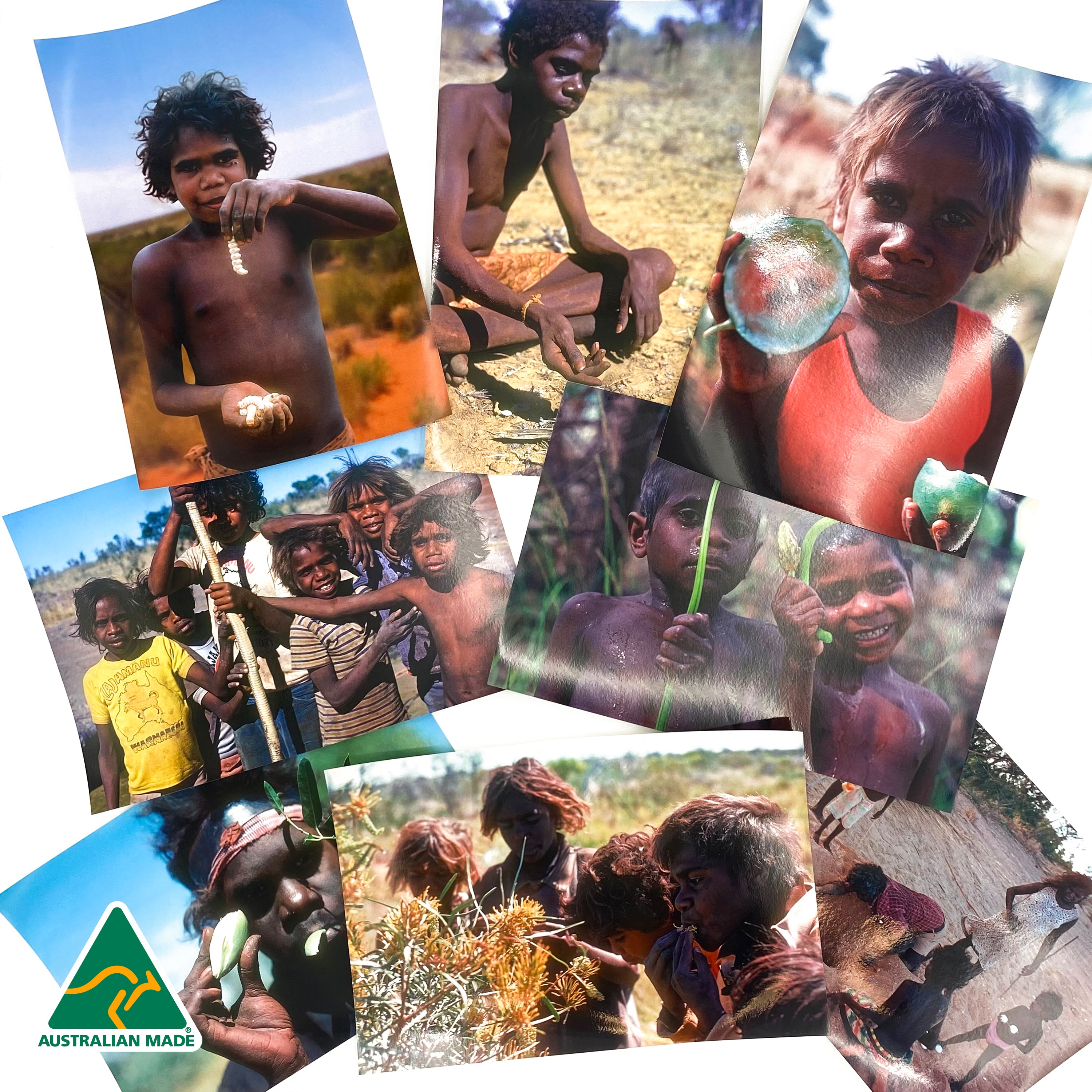 Bush Tucker Poster Pack – Indigenous Resources Online