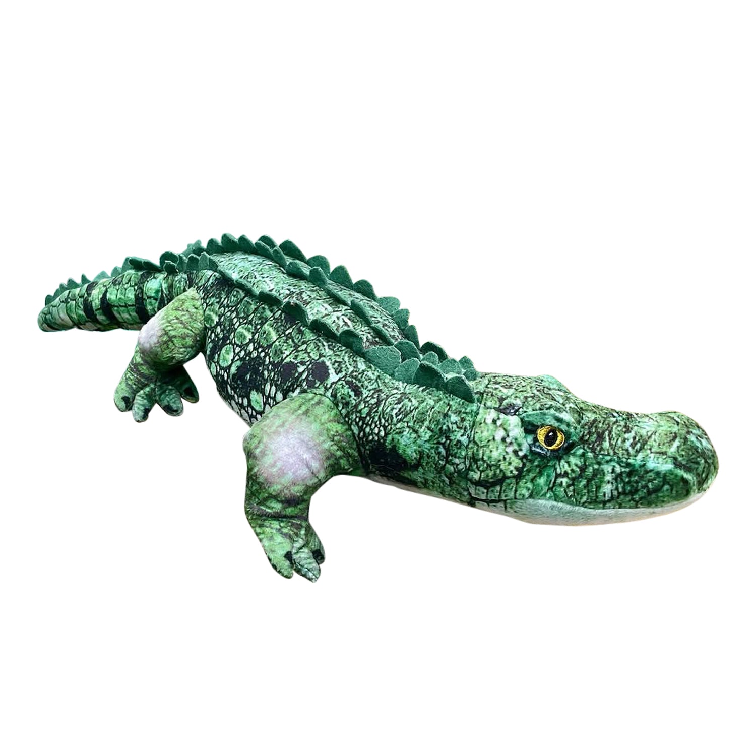 Eco Crocodile - Printed – Indigenous Resources Online