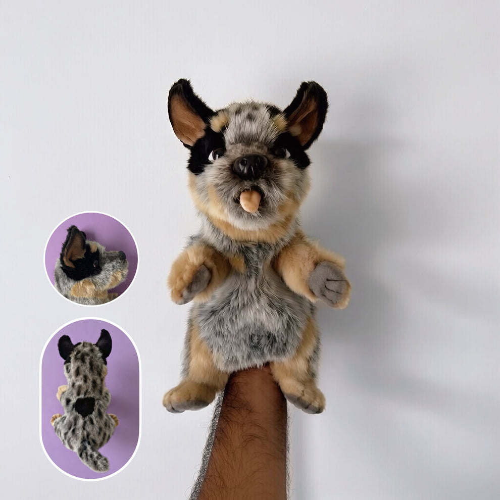 Hansa Puppets – Indigenous Resources Online
