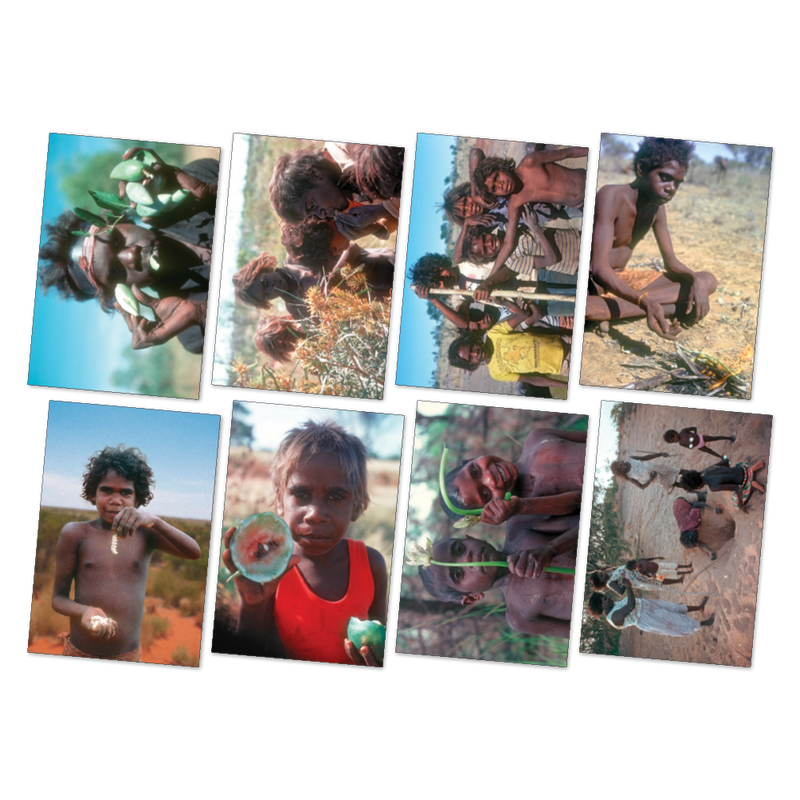 Indigenous Educational Resource Posters