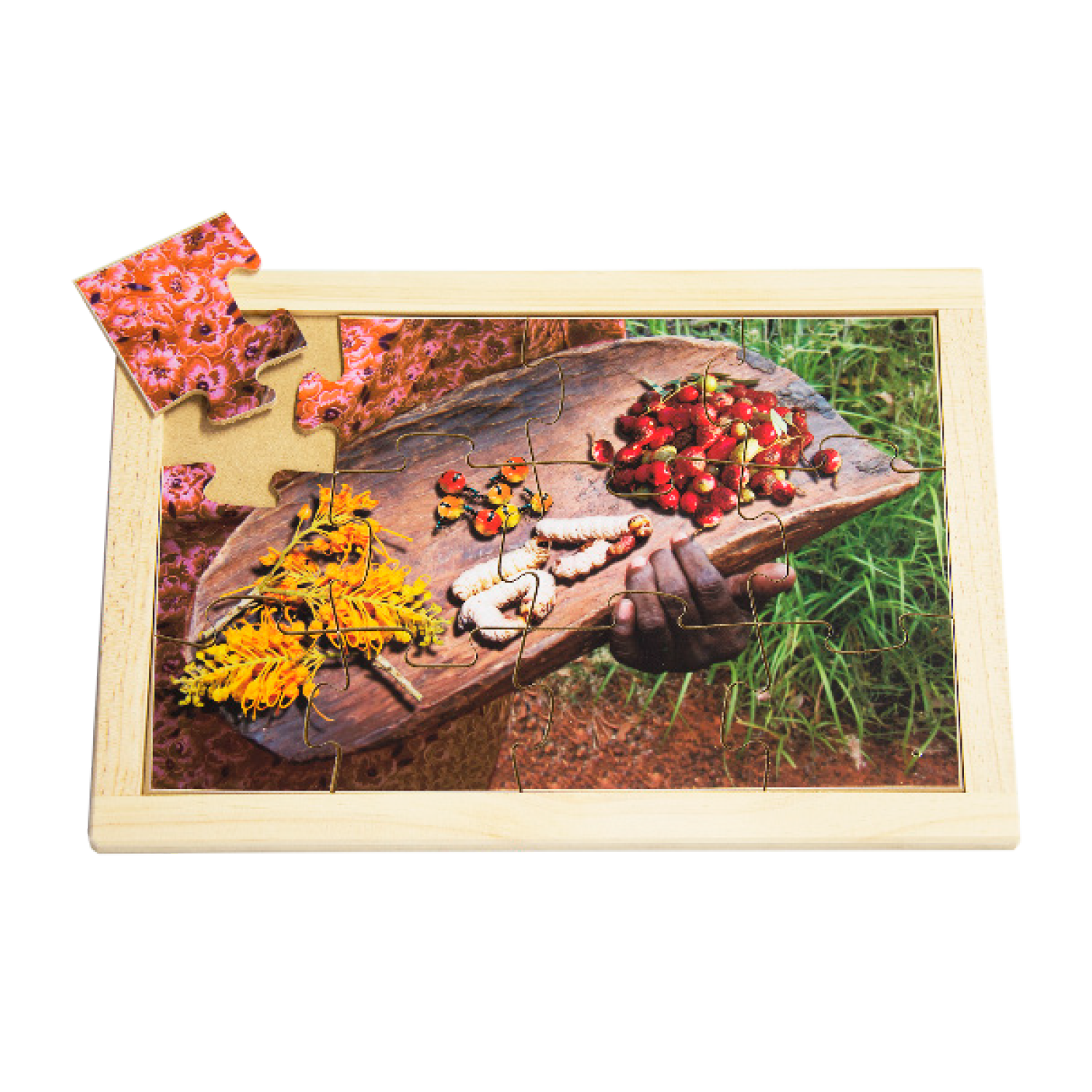 Collecting Bush Tucker Puzzle – Indigenous Resources Online