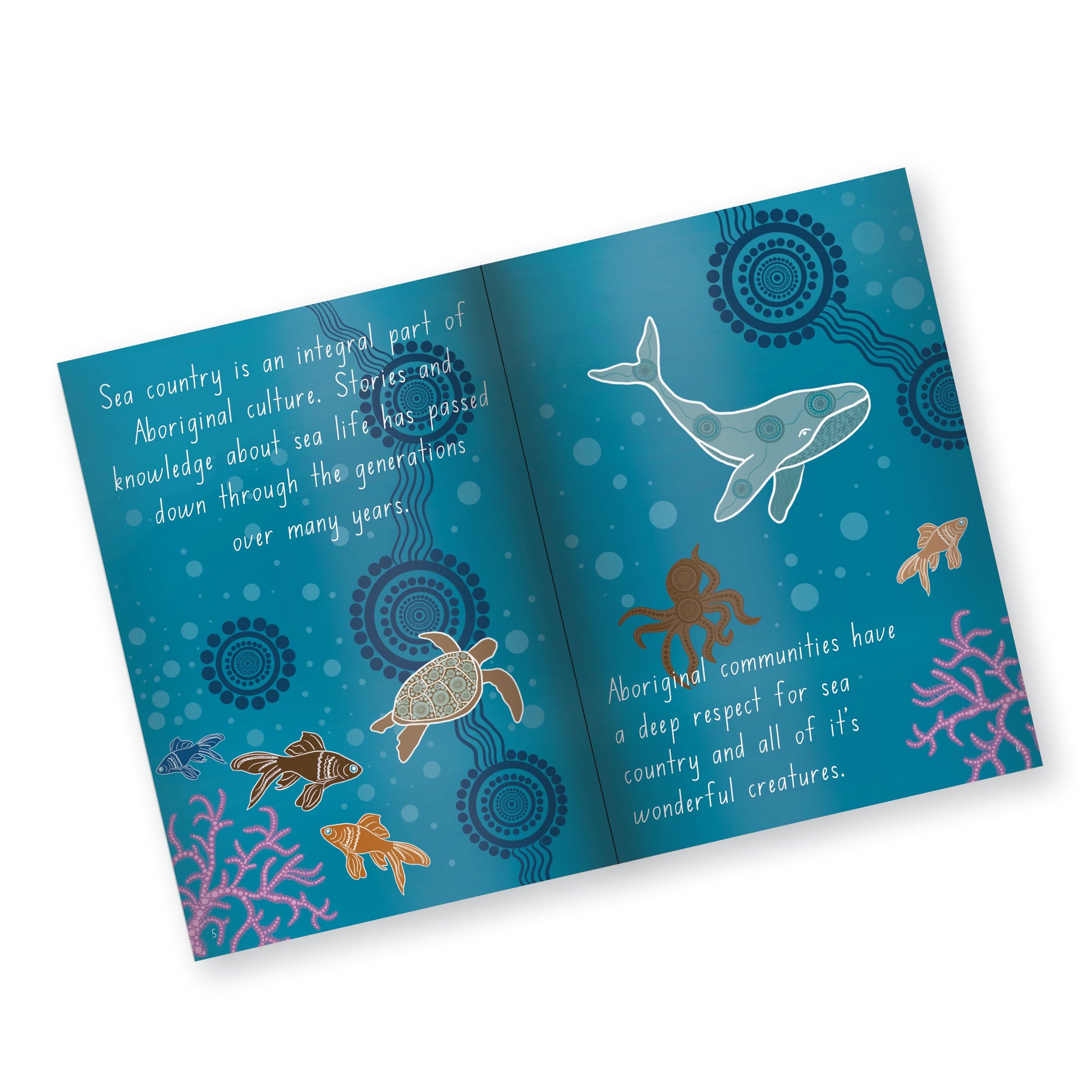 Creatures from Sea Country Big Book – Indigenous Resources Online